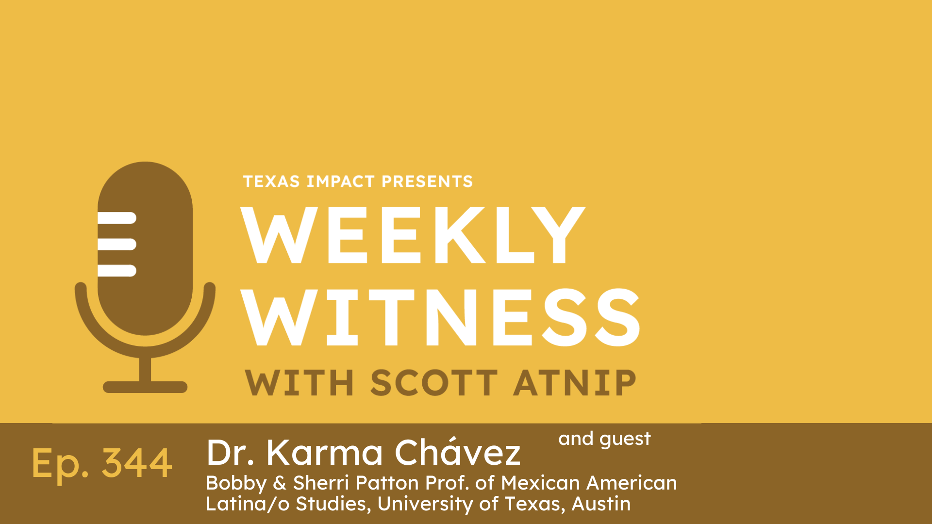 Ep. 344 Why DEI?: The Chilling Effect of SB17 - Texas Impact